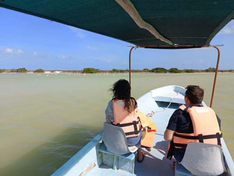 Rio Lagartos: Tour and Gastronomy - Key Points