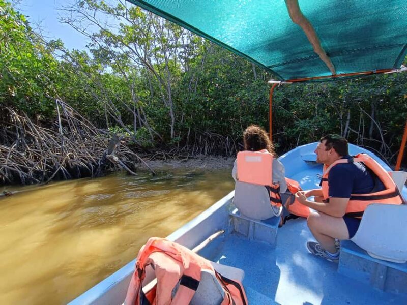 Rio Lagartos: Tour and Gastronomy - Exploring Rio Lagartos: A Balance of Nature and Flavor