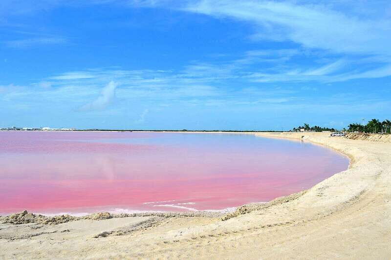 Rio Lagartos: Wondeful Pink Waters and Boat Ride - Exploring the Tour in Detail