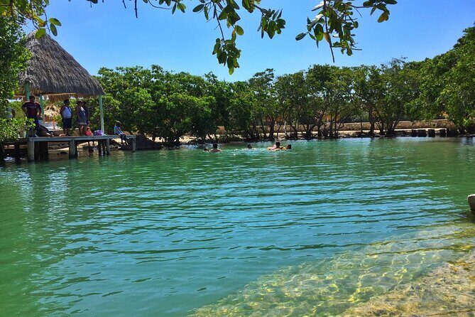 Rio Lizards and Las Coloradas Ecosafari Maya Natural Experience - An In-Depth Look at the Tour Itinerary and Experience