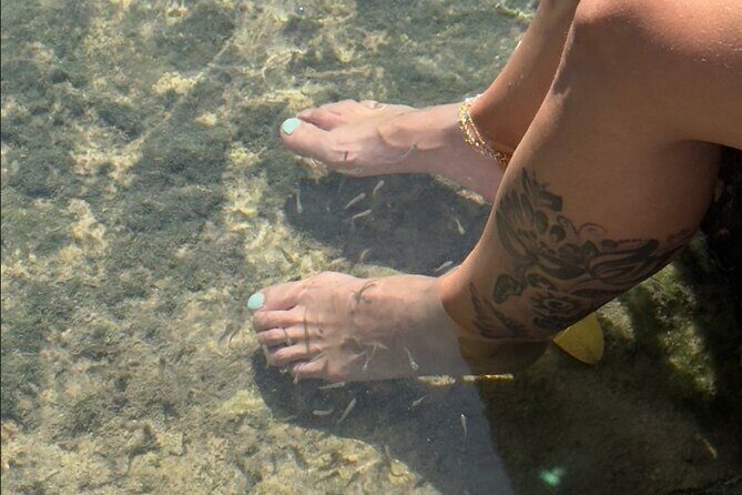 Rio Lizards and Las Coloradas Ecosafari Maya Natural Experience - The Sum Up