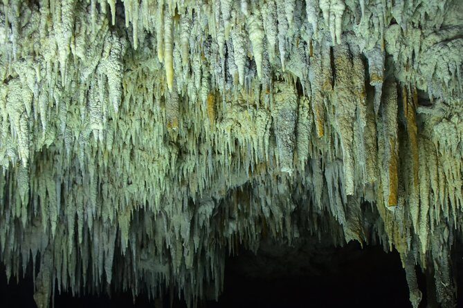 Río Secreto Playa del Carmen - Final Thoughts on Value and Experience