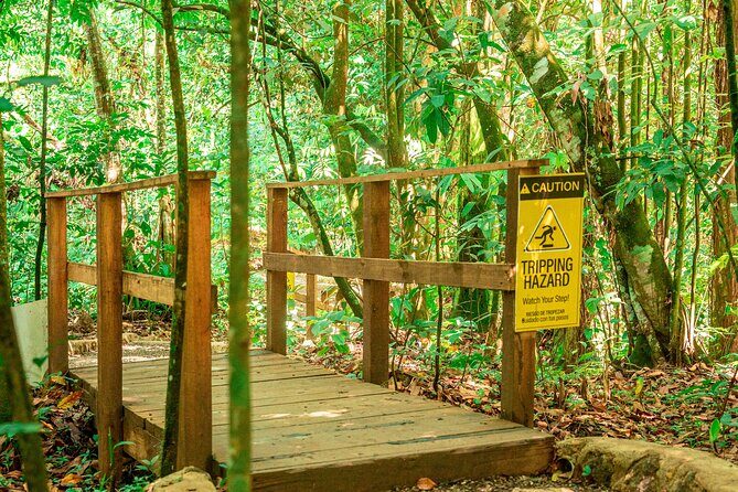 Rio Sonador River and Food Experience - Final Thoughts: Who Will Love This Tour?