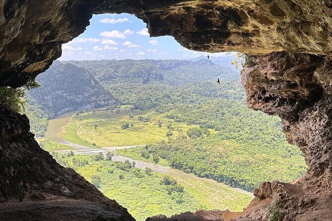 Rio Tanama City Tour with Car Transportation - Introduction: What to Expect from the Rio Tanama City Tour