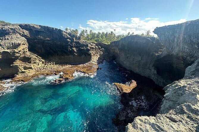 Rio Tanama City Tour with Car Transportation - Why We Think This Tour Offers Great Value