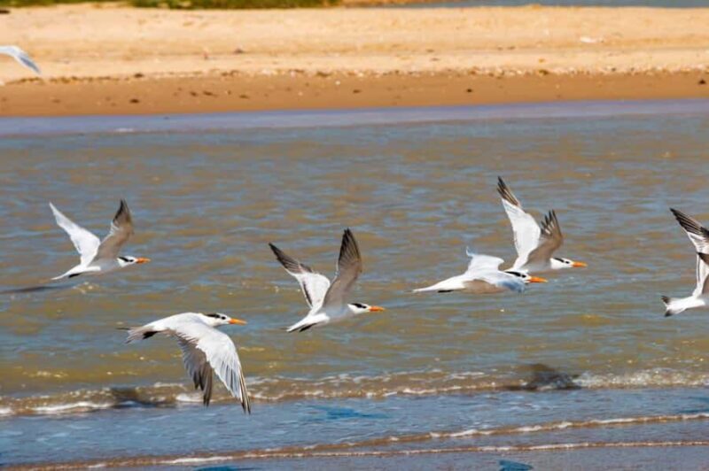Riohacha: Cabo de la Vela & Punta Gallinas 4-Day Tour - Key Points