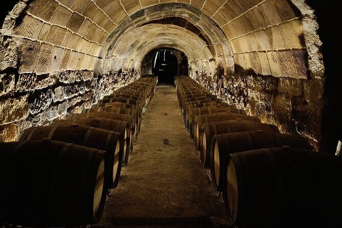 Rioja Day Tour: Explore Three Wineries with Tastings - Final Thoughts