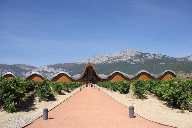 Rioja Full Experience Tour from San Sebastian with Lunch - Transportation and Convenience