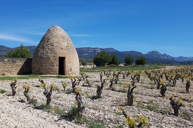 Rioja Full Experience Tour from San Sebastian with Lunch - Pricing and Overall Value
