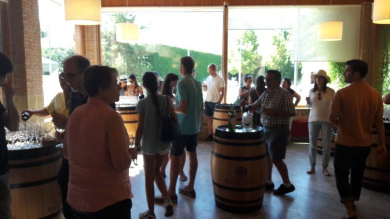 Rioja: Private Wine Tasting Tour - Smooth, Convenient Transportation and Expert Guidance