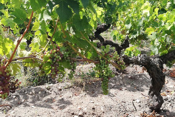 RIOJA UNCORKED - Private Enological Adventure - An Authentic Look at Rioja Uncorked