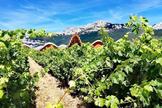 RIOJA UNCORKED - Private Enological Adventure - FAQs