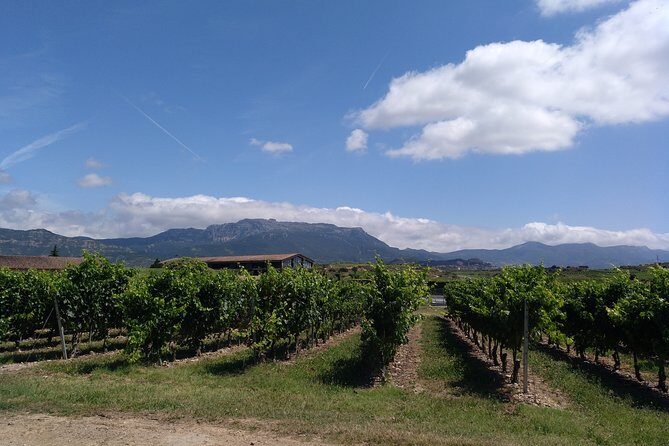 RIOJA UNCORKED - Private Enological Adventure - Final Thoughts