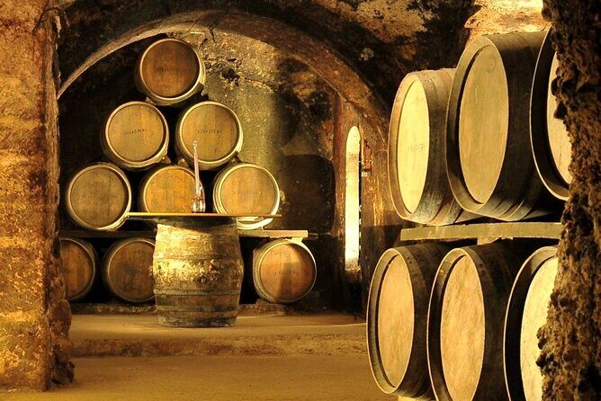 Rioja wine region with visit to winery & Vitoria-Gasreiz - Key Points