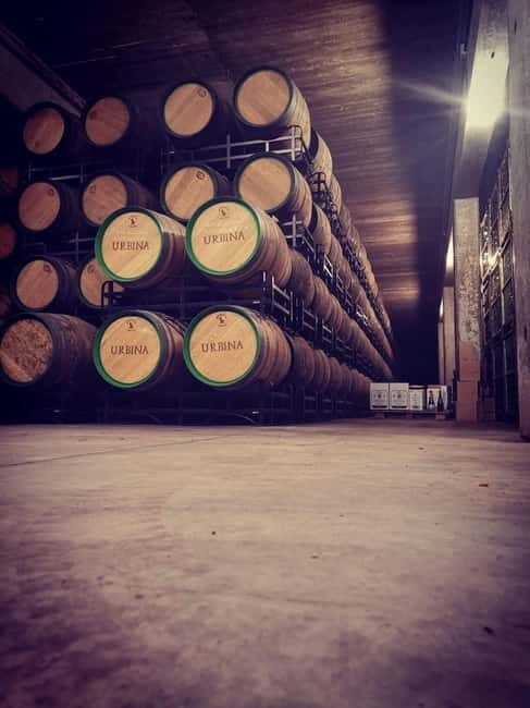 Rioja Wine Tour: 3 Wineries & Pintxos Lunch - Key Points
