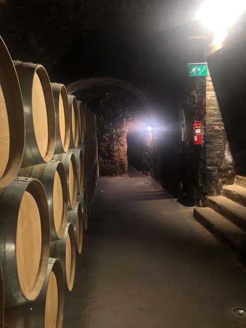 Rioja Wine Tour: 3 Wineries & Pintxos Lunch - What We Loved & What to Consider