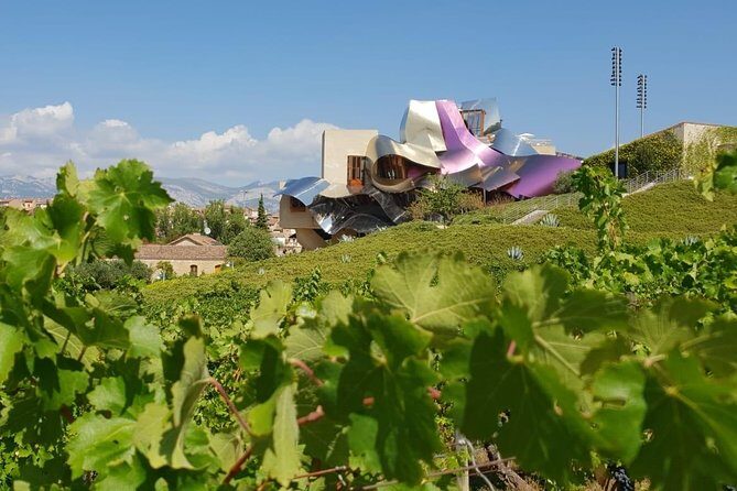 Rioja Wine Tour: Winery & Traditional Lunch From Pamplona - How the Day Is Structured