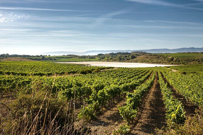 Rioja Wine Tour: Winery & Traditional Lunch From Pamplona - Cost and Value