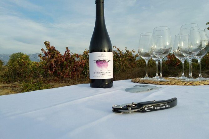 Rioja Wine Tour: Winery & Traditional Lunch From Pamplona - Weather and Cancellation Policies
