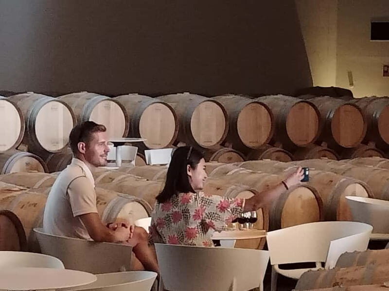 Rioja: Wine Tour with a Local Expert with Tastings - Key Points