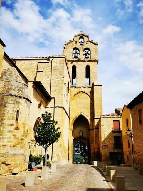 Rioja: Wine Tour with a Local Expert with Tastings - An In-Depth Look at the Rioja Wine Experience