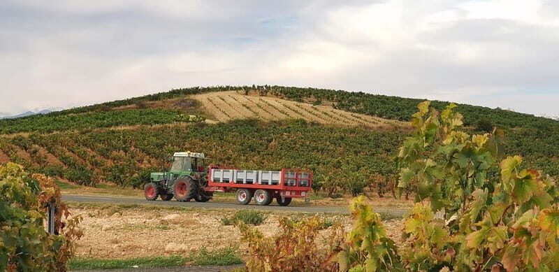 RIOJA: WINE TOUR WITH A WINERY OWNER - Final Thoughts