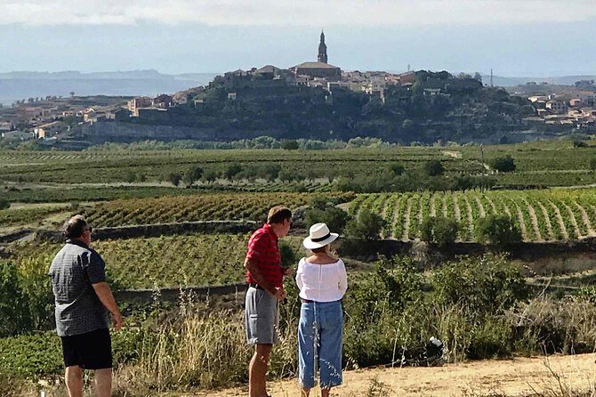 Rioja Wineries and Laguardia Tour with Picnic from San Sebastian - Introduction