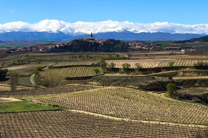 Rioja Wineries and Laguardia Tour with Picnic from San Sebastian - Key Points