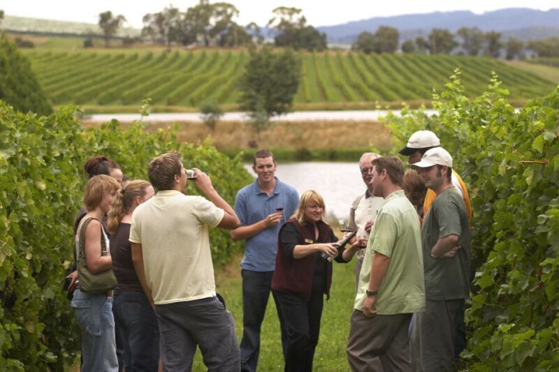 Rioja Winery & Traditional Lunch From Pamplona or Logroño - An In-Depth Look at the Experience