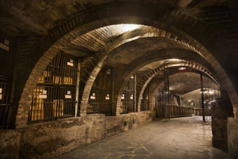 Rioja Winery & Traditional Lunch From Pamplona or Logroño - Why This Tour Is a Solid Choice