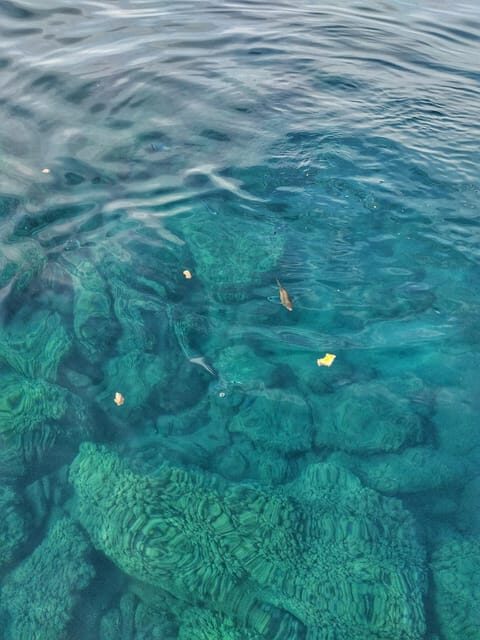 Riomaggiore: Cinque Terre Daytime Cruise with Snorkeling - The Sum Up: Who Will Love This Tour