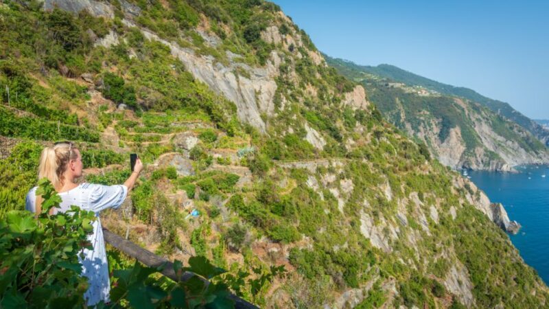 Riomaggiore: Vineyard & Wine Cellar Tour with Wine Tasting - Discovering Riomaggiore’s Vineyards: An Authentic Experience