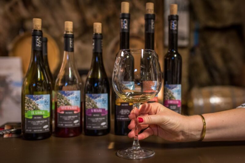 Riomaggiore: Vineyard & Wine Cellar Tour with Wine Tasting - The Breakdown of Your Experience