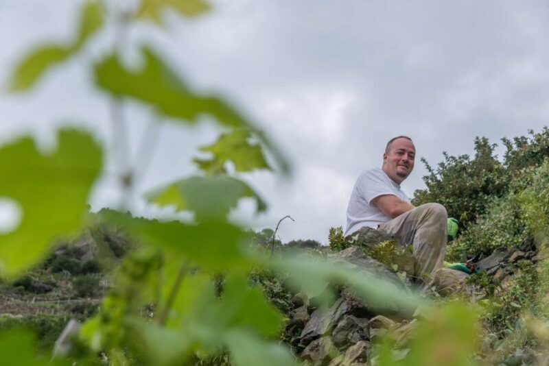 Riomaggiore: Vineyard & Wine Cellar Tour with Wine Tasting - FAQs