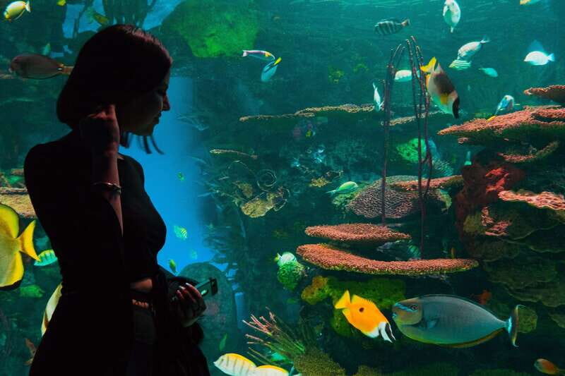 Ripley's Aquarium: Sharks After Dark Entry (After 5PM) - Who Should Consider This Experience?