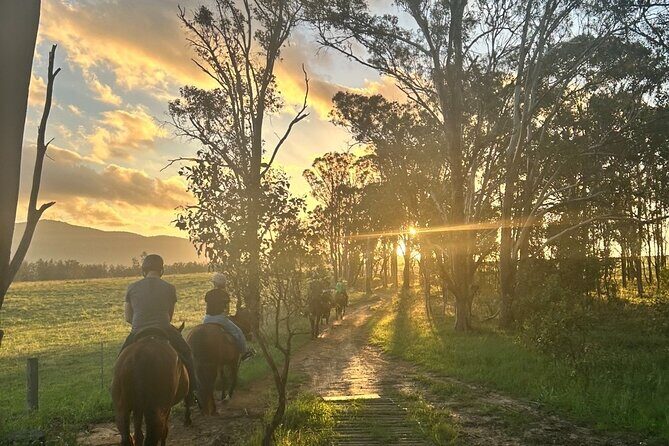 Rise and Shine 75 Minutes Early Morning Ride - Price, Value, and Overall Impression