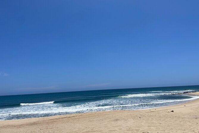 Rise Within Wellness Retreat: 4-Days Transformation in Los Cabos - Final Thoughts: Who Should Consider This Retreat?