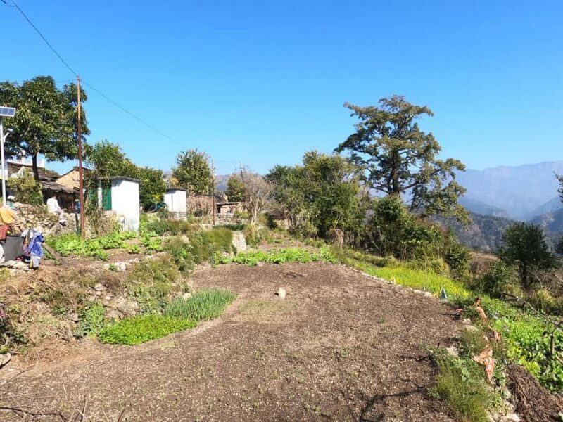 Rishikesh: 1 Full Day Kota Village Trek with Lunch & Guide - Practical Details and Tips for Your Trek