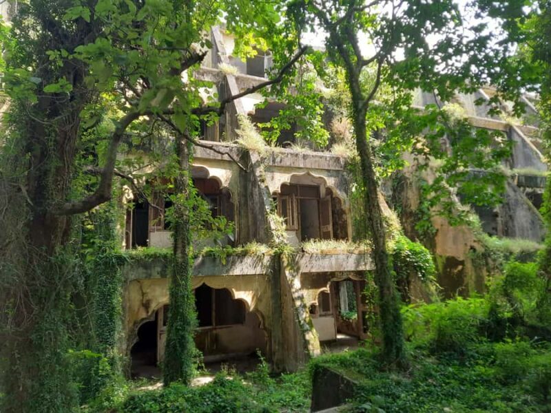 Rishikesh: Beatles Ashram Guided Tour along the Ganges - Key Points