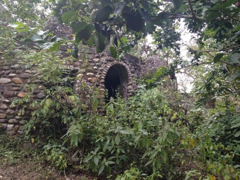 Rishikesh: Beatles Ashram Guided Tour along the Ganges - Who Should Consider This Tour?