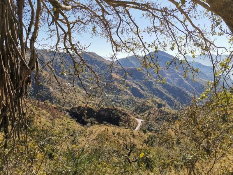 Rishikesh: Kunjapuri Temple Trek with Guide - Rishikesh: Kunjapuri Temple Trek with Guide — A Deep Dive into Himalayan Beauty and Spiritual Serenity
