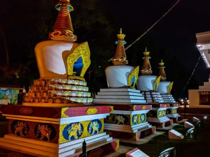 Rishikesh: Mindrolling Tibetan Monastery & Buddha Stupa Tour - Key Points