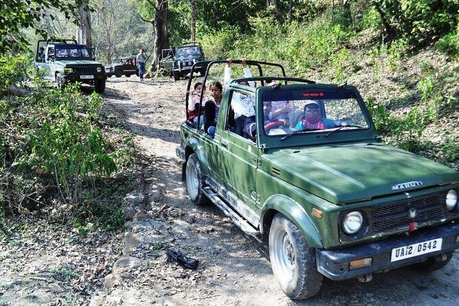 Rishikesh: Open Jeep Safari in Chilla Range, Rajaji National Park - Key Points