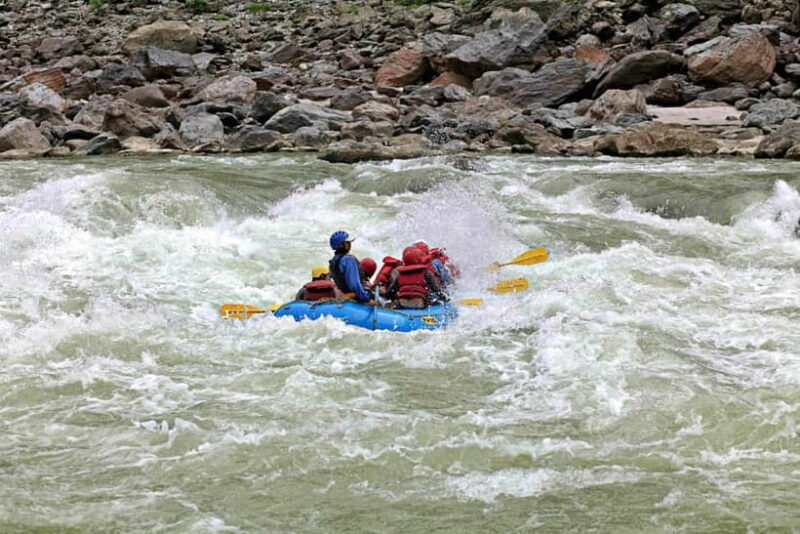 Rishikesh: River Rafting Adventure - Authentic Experiences and Traveler Feedback