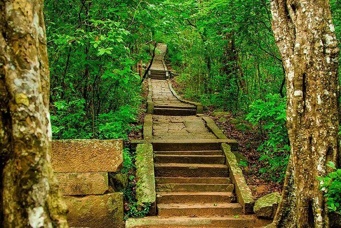 Ritigala Strict Natural Reserve & Minneriya National Park Safari Day Excursion - Introduction