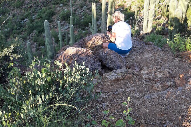 Ritz Dove Mountain and Totolita Hiking - Exploring the Sonoran Desert: An Authentic Hiking Experience
