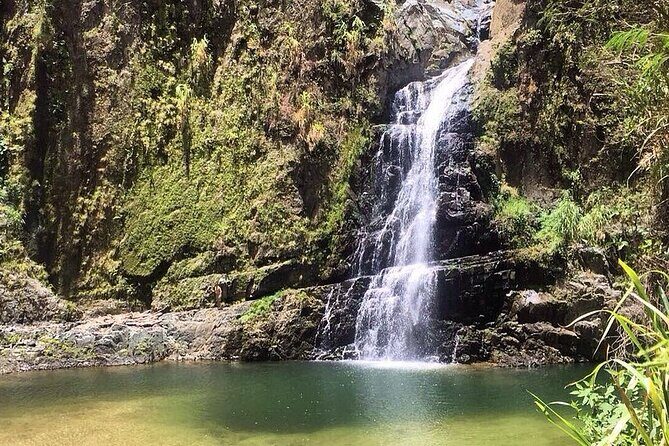 Riu Hotel Puerto Plata- Gregorio Luperon Airport - What Travelers Are Saying