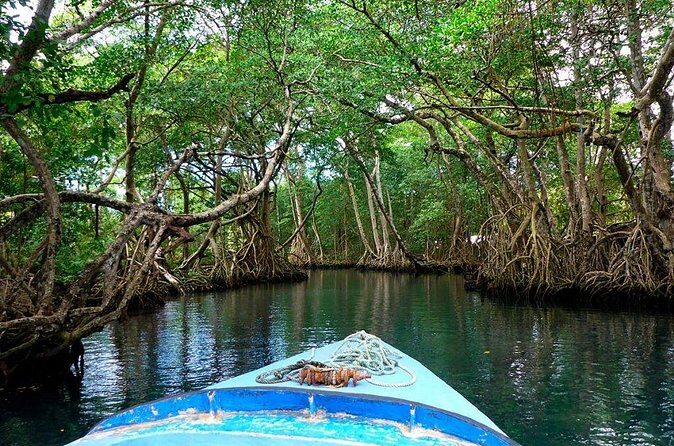 Riu Hotel Puerto Plata- Gregorio Luperon Airport - The Sum Up