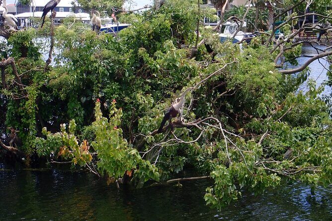 River Cruise Tour with Manatee Viewing - How the Tour Fits into Your Travel Plans
