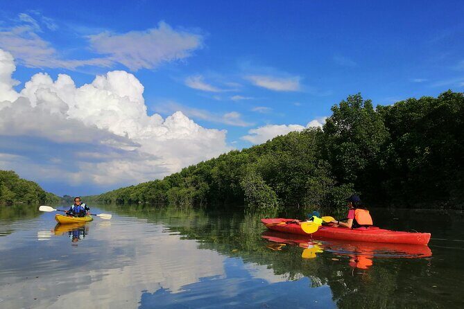 River Exploration and Mangrove Nature Tour by kayaking - An Authentic Exploration of Malaysia’s Mangrove Ecosystem